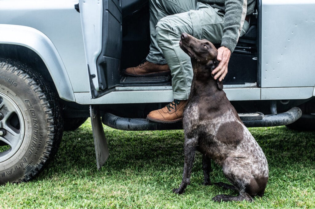 African Ranger - Fudge - Jim Green