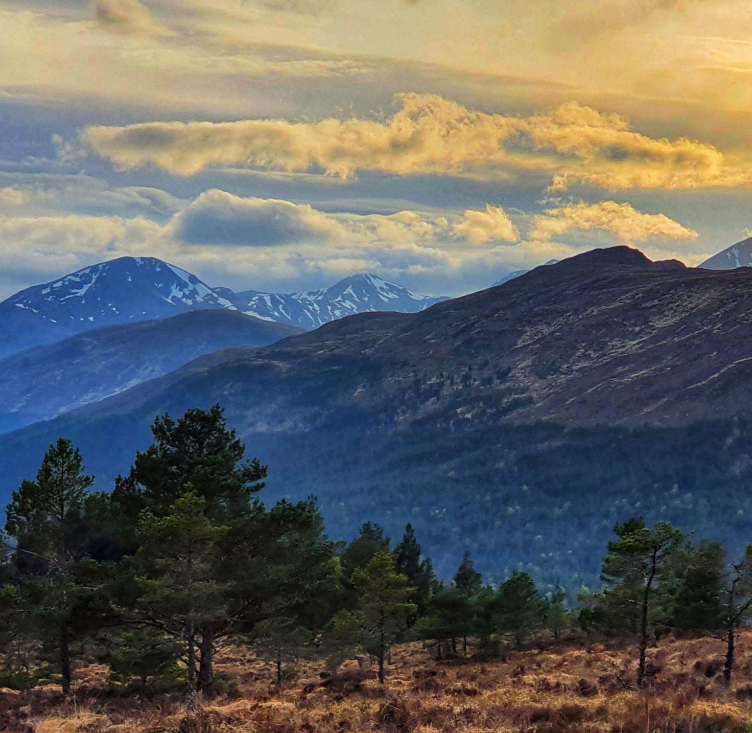 Solo adventure into the Caledonian Forest - Jim Green